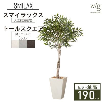 フェイクグリーン×プランターセット「パキラ×Tall Square w/g フェイクグリーン×プランターセット「パキラ×Tall Square w/g